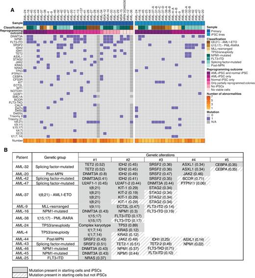 Patient-Derived iPSCs Faithfully Represent the Genetic Diversity and ...