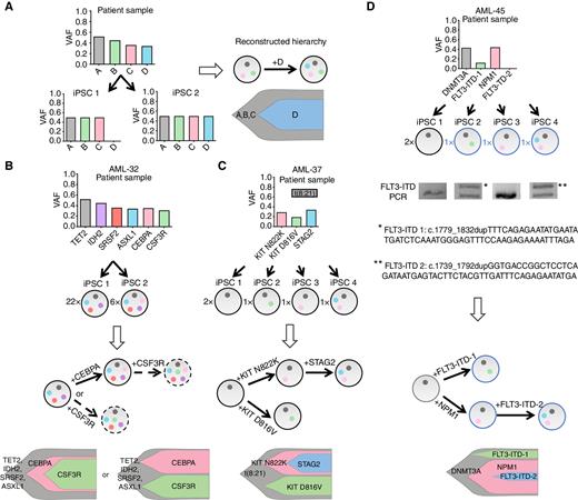 Patient-Derived iPSCs Faithfully Represent the Genetic Diversity and ...