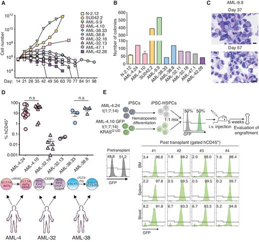Patient-Derived iPSCs Faithfully Represent the Genetic Diversity and ...