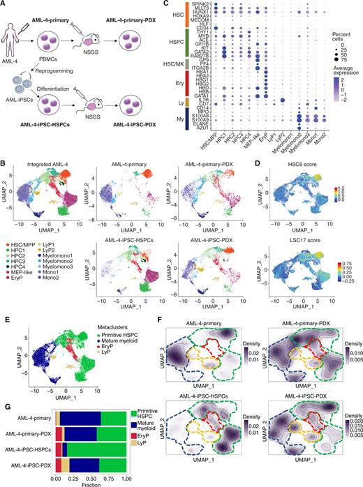 Patient-Derived iPSCs Faithfully Represent the Genetic Diversity and ...