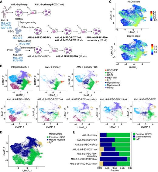Patient-Derived iPSCs Faithfully Represent the Genetic Diversity and ...