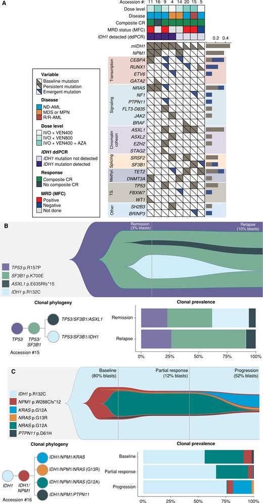 A Phase Ib/II Study of Ivosidenib with Venetoclax ± Azacitidine in IDH1 ...
