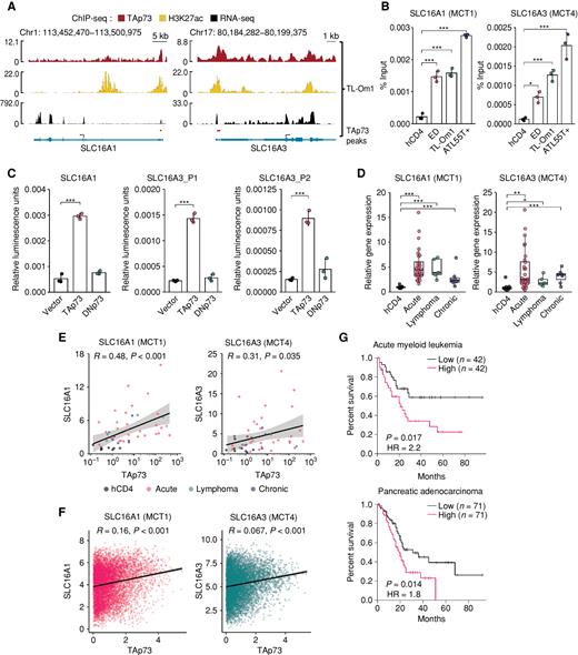 HTLV-1 bZIP Factor-Induced Reprogramming of Lactate Metabolism and ...