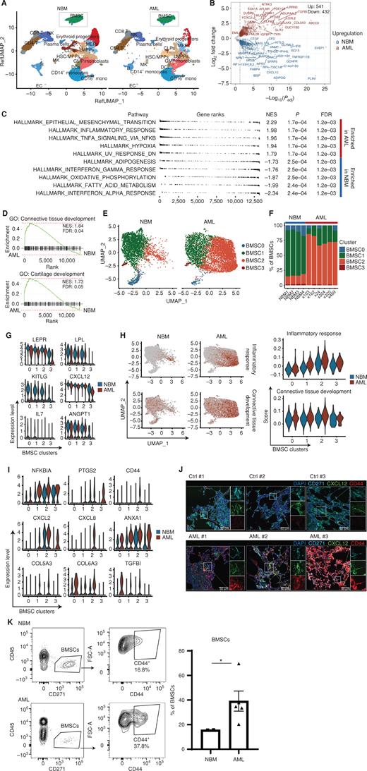 A Single-Cell Taxonomy Predicts Inflammatory Niche Remodeling to Drive ...