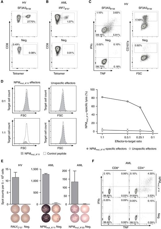 Immune Surveillance of Acute Myeloid Leukemia Is Mediated by HLA ...