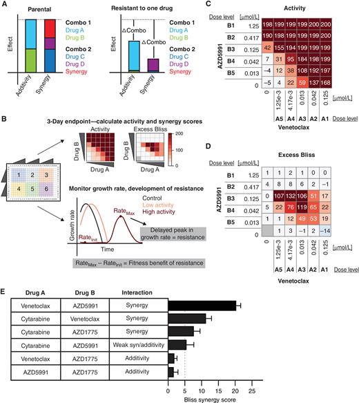 Synergistic Drug Combinations Promote the Development of Resistance in ...