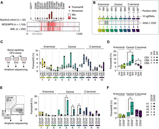 Human ASXL1-Mutant Hematopoiesis Is Driven by a Truncated Protein ...