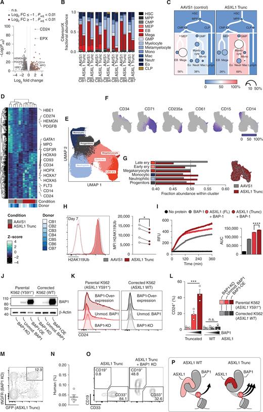 Human ASXL1-Mutant Hematopoiesis Is Driven by a Truncated Protein ...