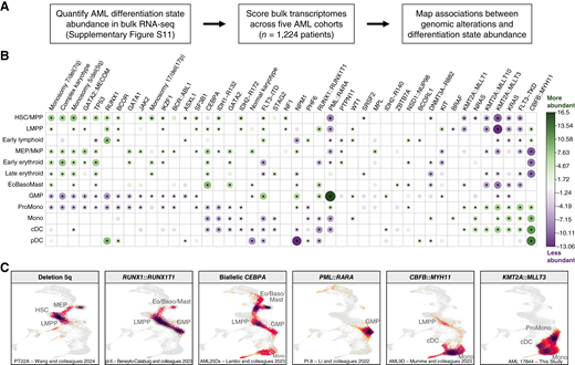 Single-cell Transcriptional Atlas of Human Hematopoiesis Reveals ...
