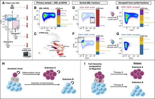 Single-cell Transcriptional Atlas of Human Hematopoiesis Reveals ...