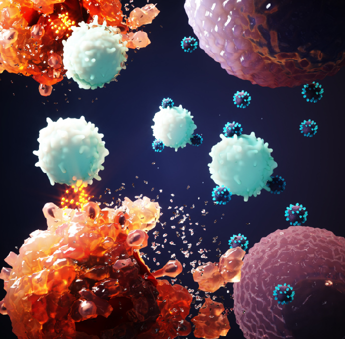 Volume 4 Issue 1 | Blood Cancer Discovery | American Association for ...