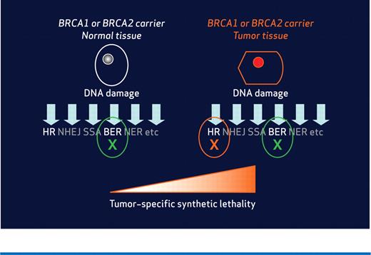 Stumbling Blocks on the Path to Personalized Medicine in Breast Cancer ...