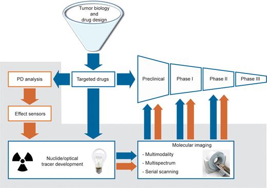 Toward Molecular Imaging–Driven Drug Development in Oncology | Cancer ...