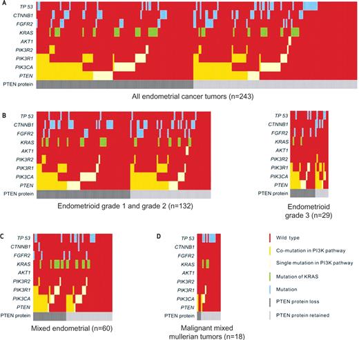 High Frequency of PIK3R1 and PIK3R2 Mutations in Endometrial Cancer ...