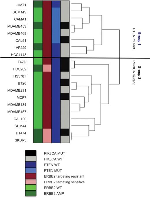 Functional Viability Profiles of Breast Cancer | Cancer Discovery ...