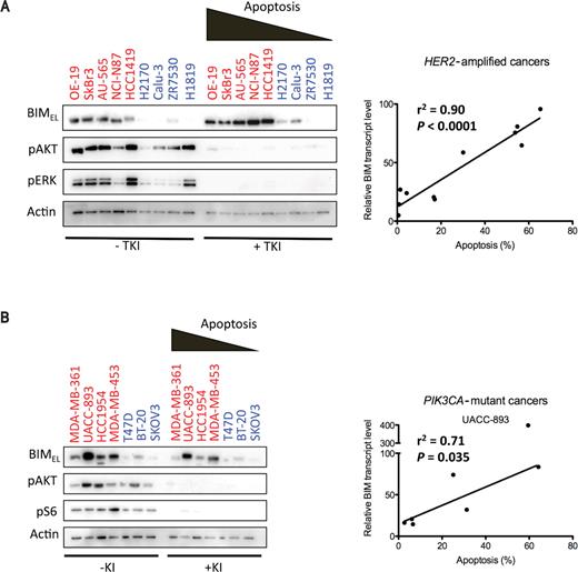 BIM Expression in Treatment-Naïve Cancers Predicts Responsiveness to ...