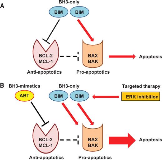 The Potential Benefits of BIM in the Further Pursuit of Biomarker ...