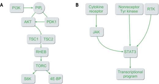 PI3K and STAT3: A New Alliance | Cancer Discovery | American ...