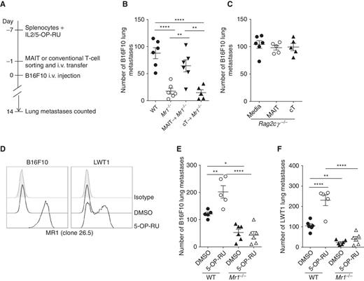 MAIT Cells Promote Tumor Initiation, Growth, and Metastases via Tumor ...