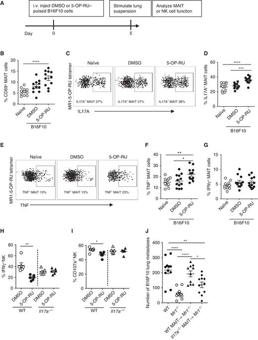 MAIT Cells Promote Tumor Initiation, Growth, and Metastases via Tumor ...