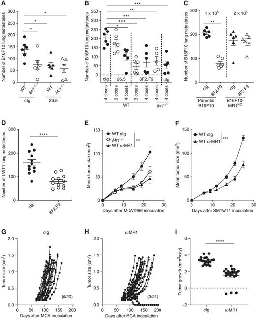 MAIT Cells Promote Tumor Initiation, Growth, and Metastases via Tumor ...