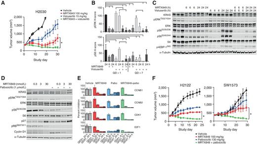The KRASG12C Inhibitor MRTX849 Provides Insight toward Therapeutic ...