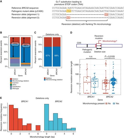 Clinical BRCA1/2 Reversion Analysis Identifies Hotspot Mutations and ...