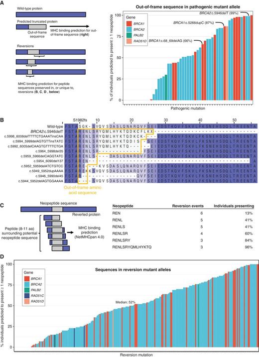 Clinical BRCA1/2 Reversion Analysis Identifies Hotspot Mutations and ...