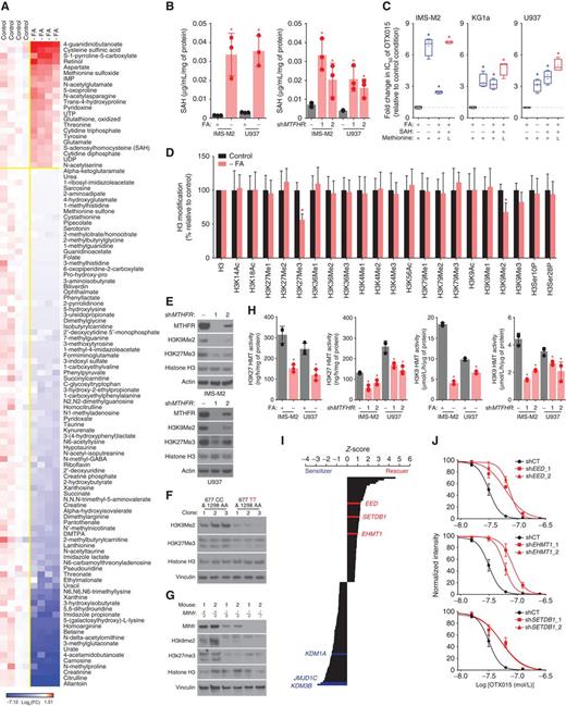 The Folate Cycle Enzyme MTHFR Is a Critical Regulator of Cell Response ...