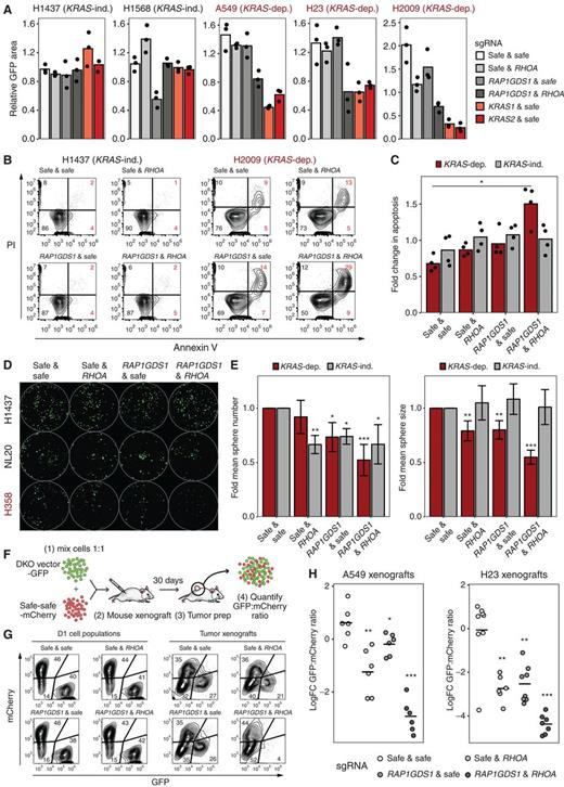 Combined Proteomic and Genetic Interaction Mapping Reveals New RAS ...