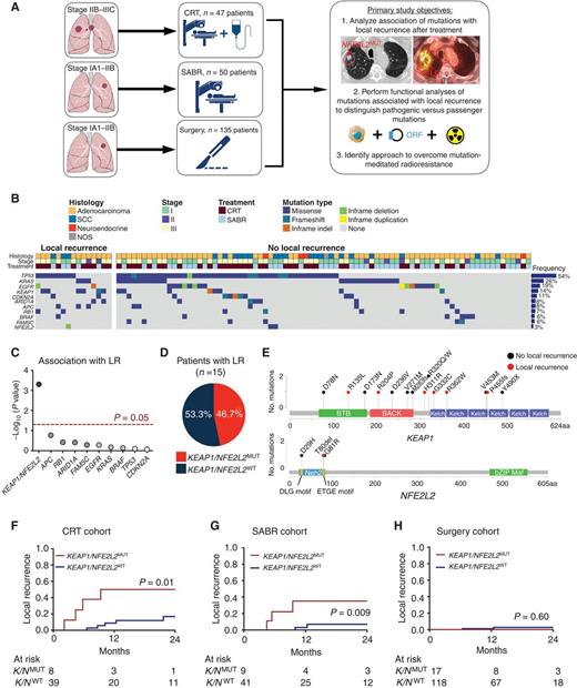 KEAP1/NFE2L2 Mutations Predict Lung Cancer Radiation Resistance That ...