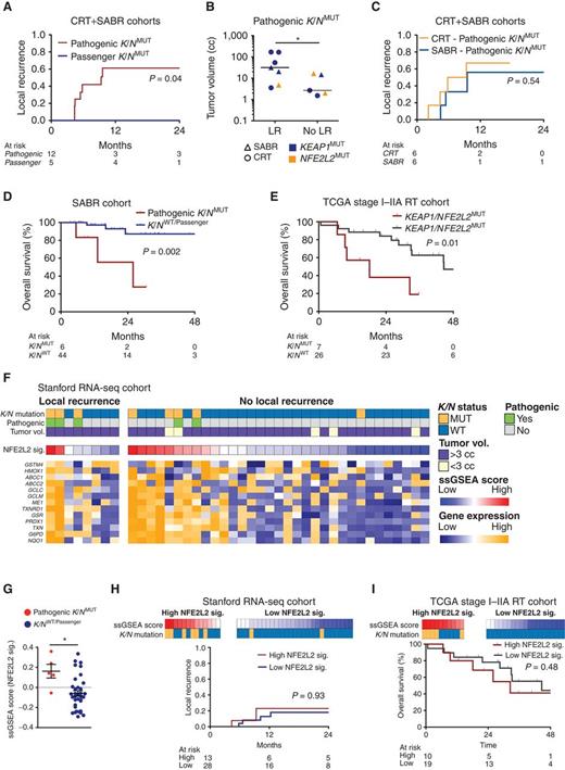 KEAP1/NFE2L2 Mutations Predict Lung Cancer Radiation Resistance That ...