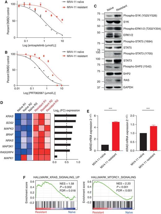 Resistance Mechanisms to SYK Inhibition in Acute Myeloid Leukemia ...
