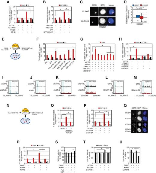 Histone Lysine Methylation Dynamics Control EGFR DNA Copy-Number ...
