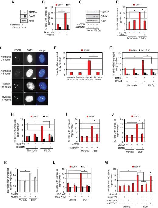 Histone Lysine Methylation Dynamics Control EGFR DNA Copy-Number ...
