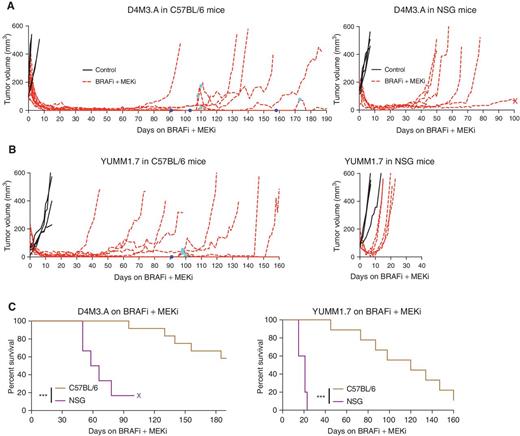 Mutant BRAF and MEK Inhibitors Regulate the Tumor Immune ...
