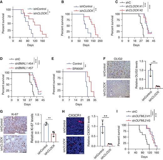 Circadian Regulator CLOCK Recruits Immune-Suppressive Microglia into ...