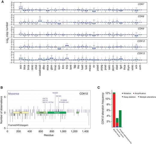 Transcription-Associated Cyclin-Dependent Kinases as Targets and ...