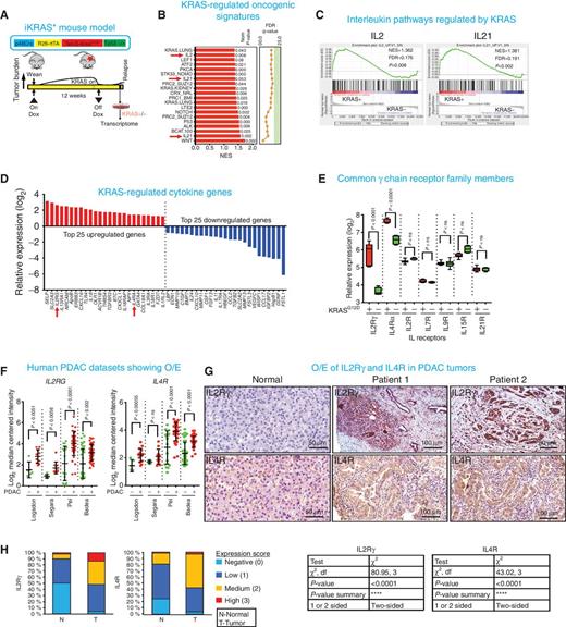 Oncogenic KRAS-Driven Metabolic Reprogramming in Pancreatic Cancer ...