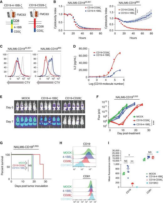 Tuning the Antigen Density Requirement for CAR T-cell Activity | Cancer Discovery | American ...