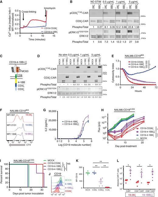 Tuning the Antigen Density Requirement for CAR T-cell Activity | Cancer ...