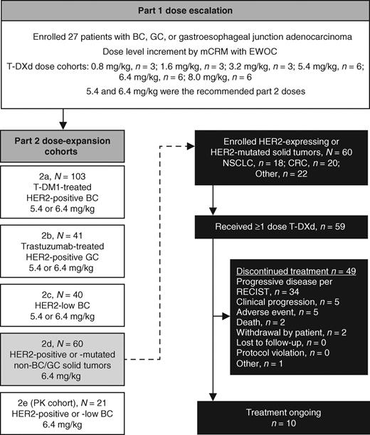 Targeting HER2 with Trastuzumab Deruxtecan: A Dose-Expansion, Phase I ...