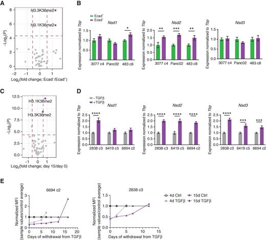 Global Regulation of the Histone Mark H3K36me2 Underlies Epithelial ...