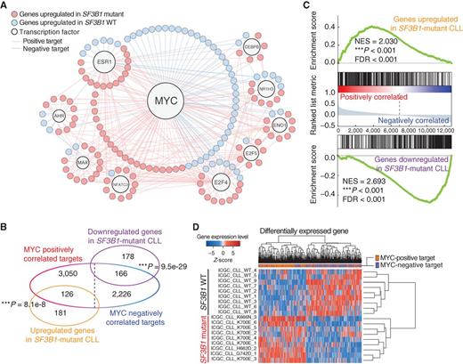 Mutations in the RNA Splicing Factor SF3B1 Promote Tumorigenesis ...
