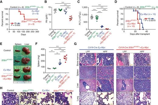 Mutations in the RNA Splicing Factor SF3B1 Promote Tumorigenesis ...