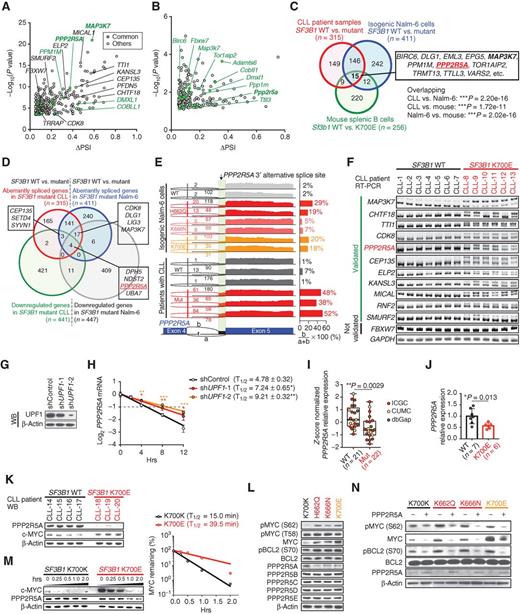 Mutations in the RNA Splicing Factor SF3B1 Promote Tumorigenesis ...