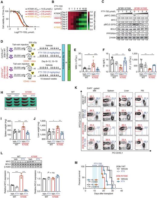 Mutations in the RNA Splicing Factor SF3B1 Promote Tumorigenesis ...