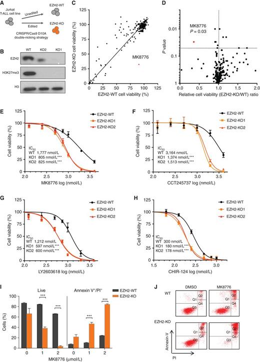 EZH2-Deficient T-cell Acute Lymphoblastic Leukemia Is Sensitized to CHK1 Inhibition through ...