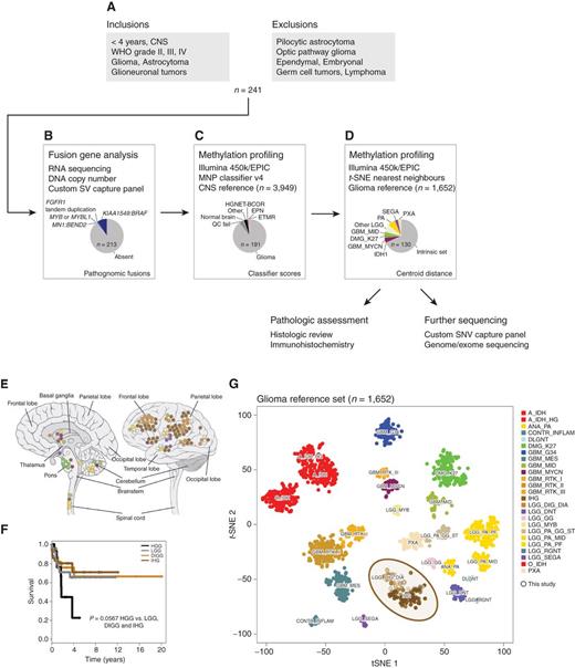 Infant High-Grade Gliomas Comprise Multiple Subgroups Characterized by ...