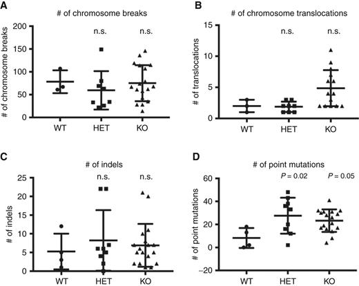 The INPP4B Tumor Suppressor Modulates EGFR Trafficking and Promotes ...